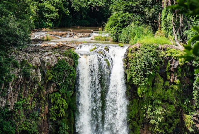 Les 7 plus belles cascades de l'île Maurice : Une activité à ne surtout ...